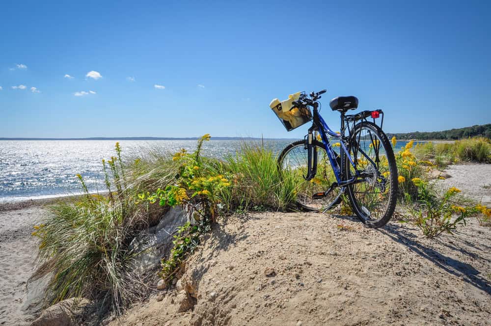 the 10 Best Things to do on Cape Cod | Updated 2025